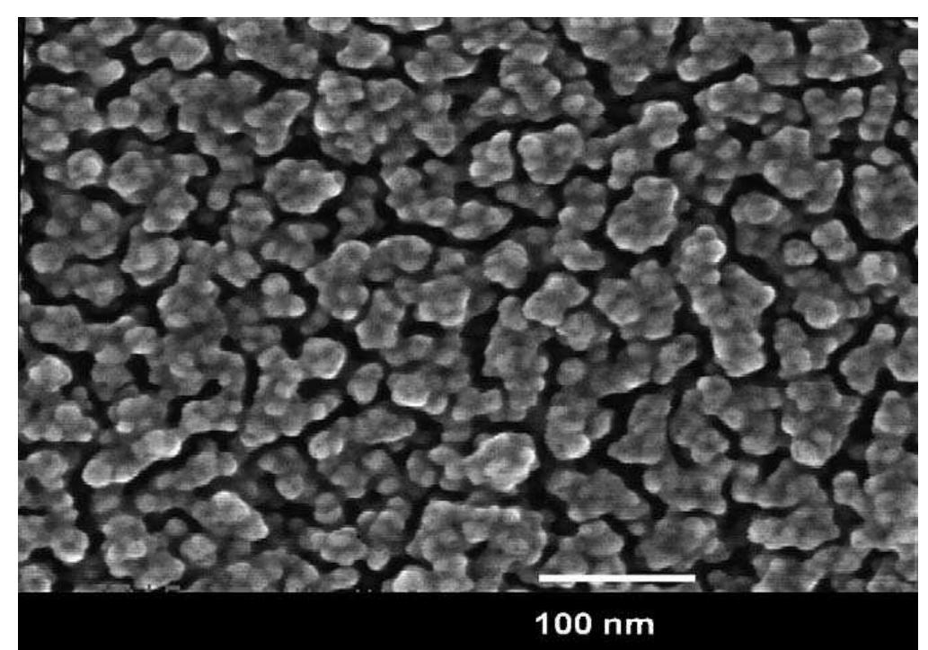 Sem image of ch tio thin-film electrode. the porosity of the