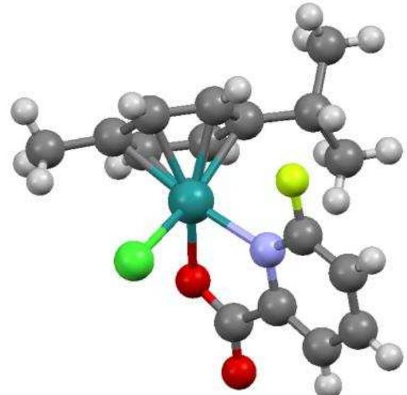 Structural diversity of transition metal complexes, their