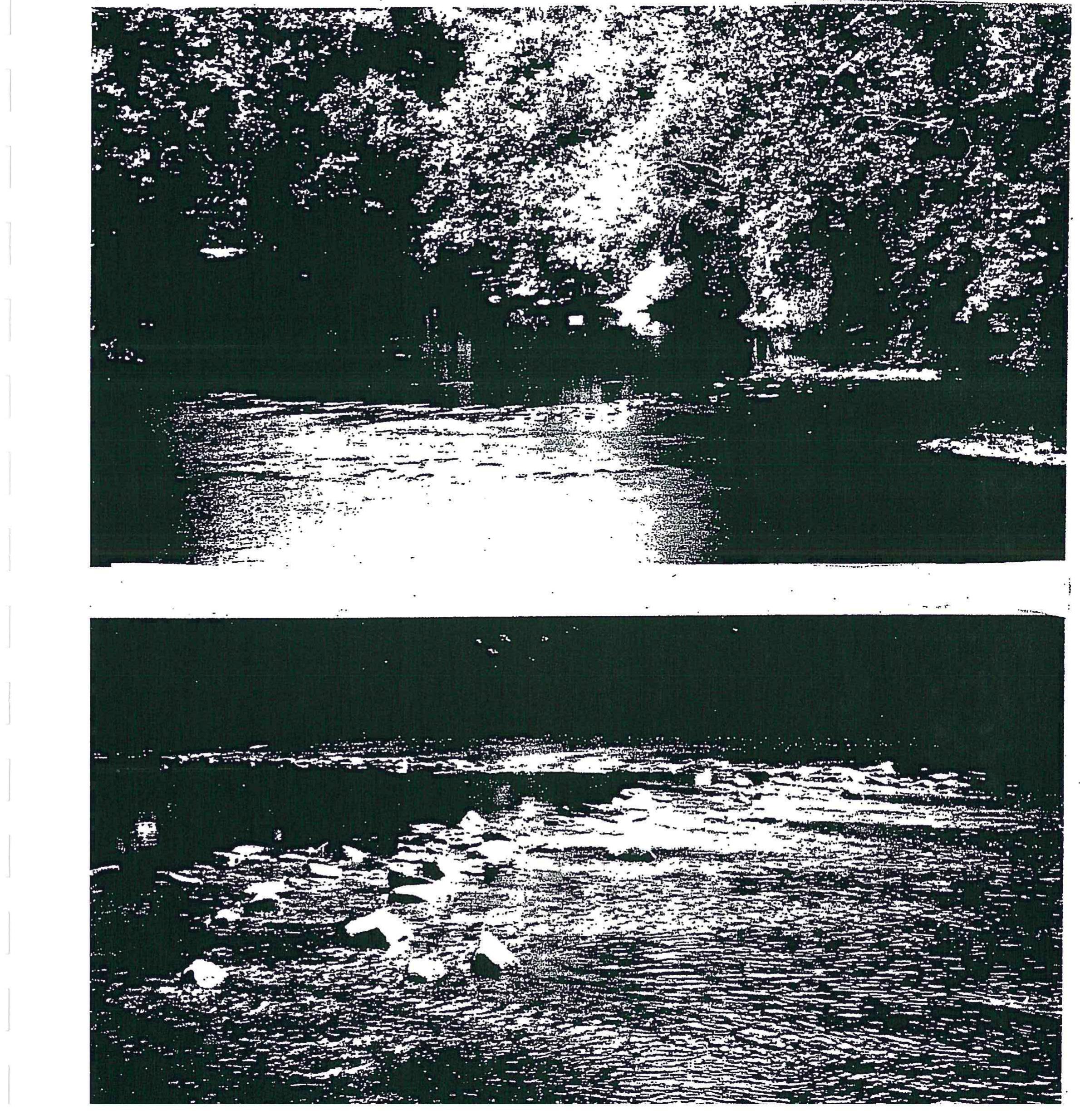 Figure 12 - Swanzey Fish Dam in comparison to Native fish