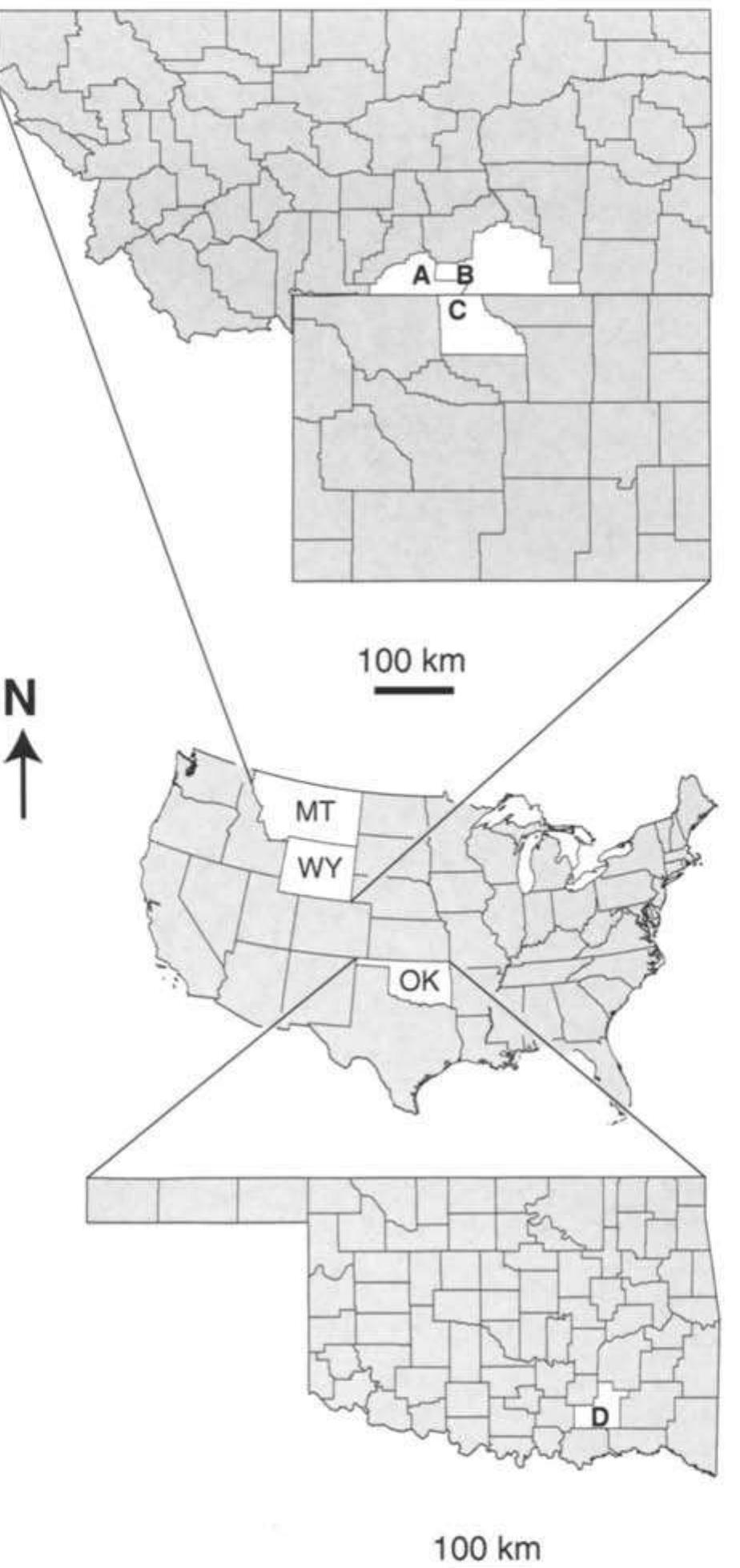 Location map of early cretaceous lizard localities in the