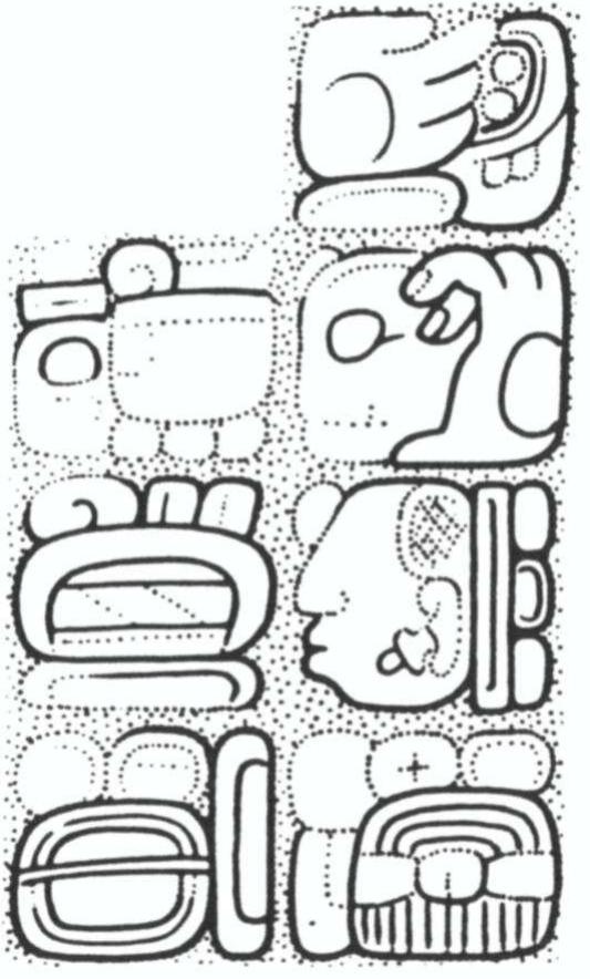 Arrival of “lady 6 sky” at naranjo, recorded on stela 24: