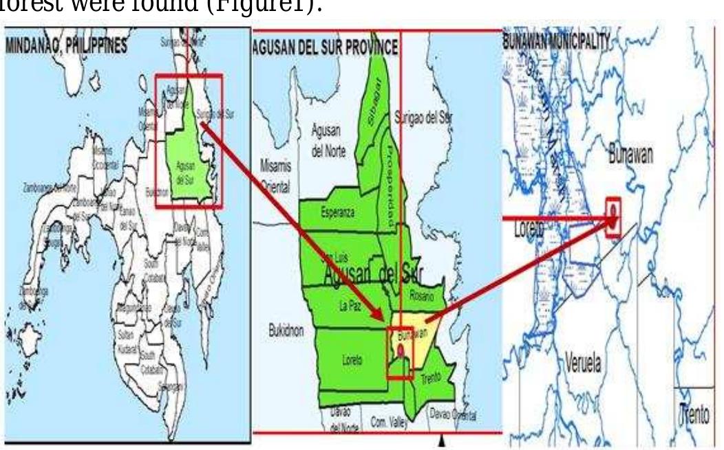 Map of agusan del sur showing the two sampling area in