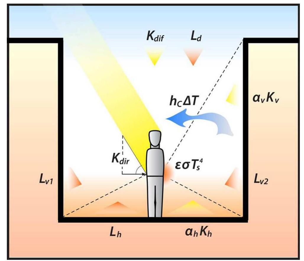 Figure 3 - from Microclimate and thermal perception in a