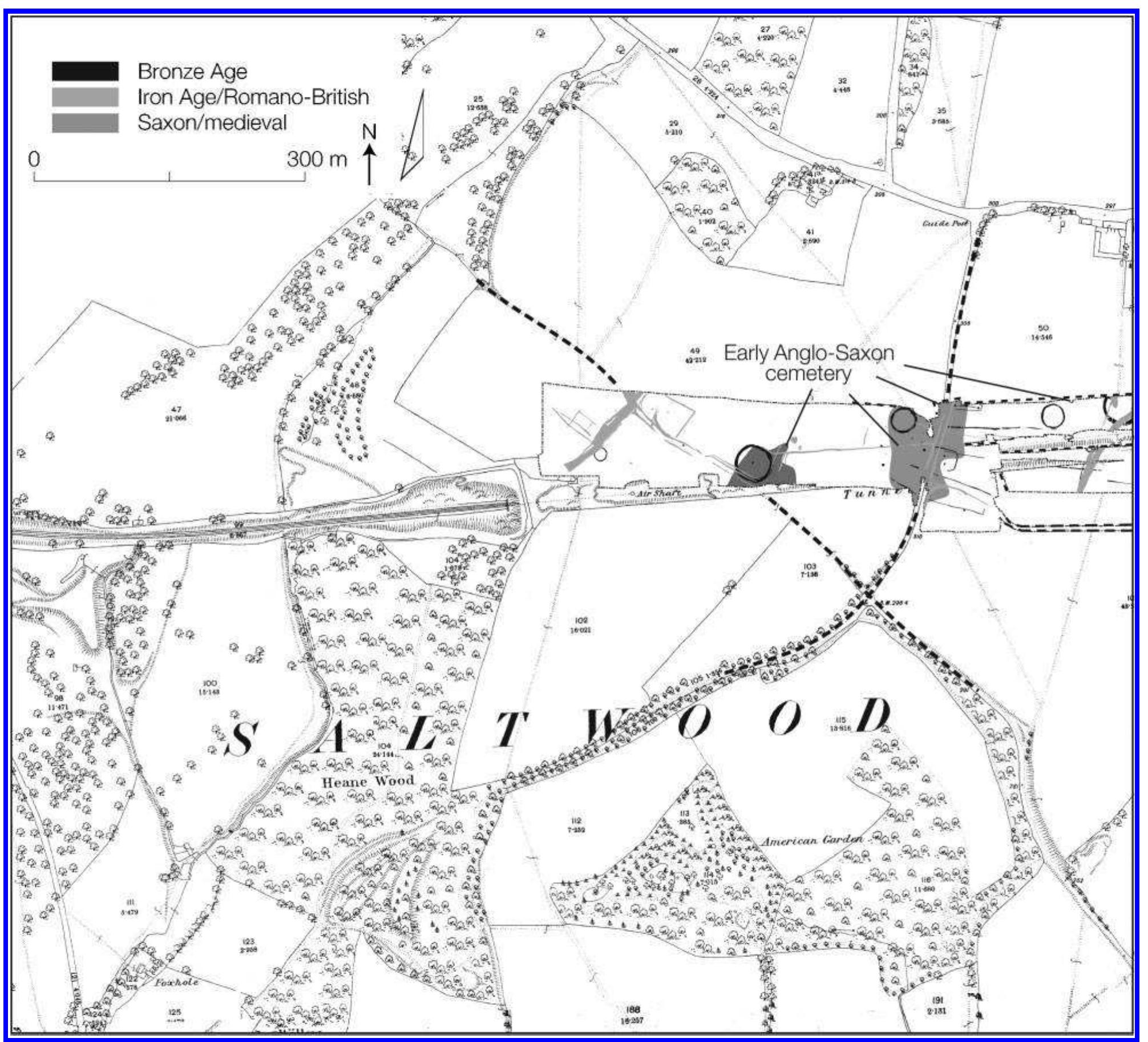 Saltwood: a model of landscape continuity. excavations as
