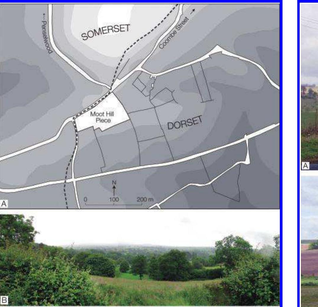 A) the hanging promontory assembly place of moot hill piece