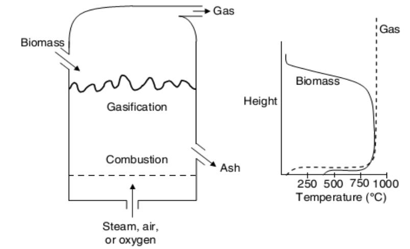 Schematic of a bubbling fluidized bed gasifier [10]. the