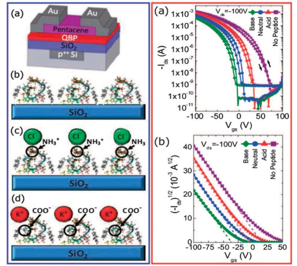 (blue frame-a) schematic of the thin film transistor device
