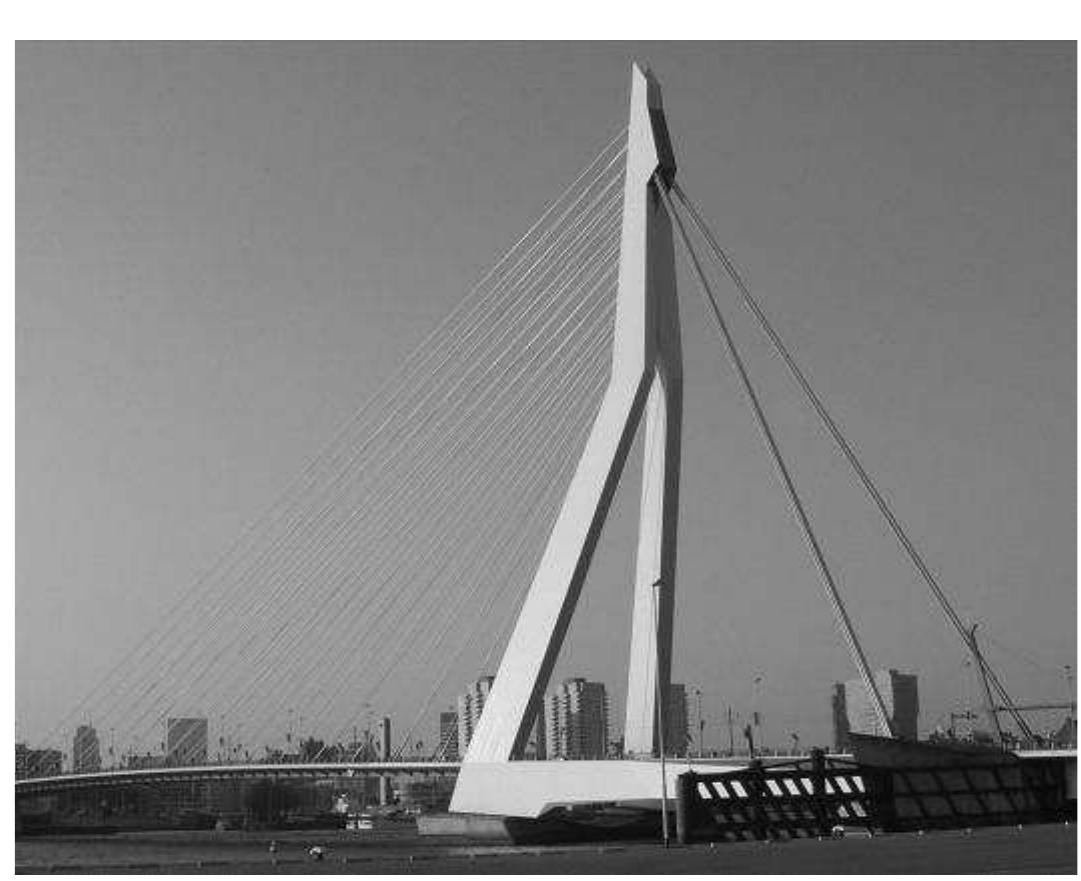 9 alamillo bridge, seville, spain.