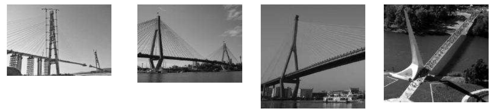 18 (continued) generic forms and typical examples of towers