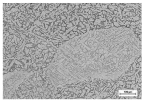 M2 alloy microstructure, magnification 100x