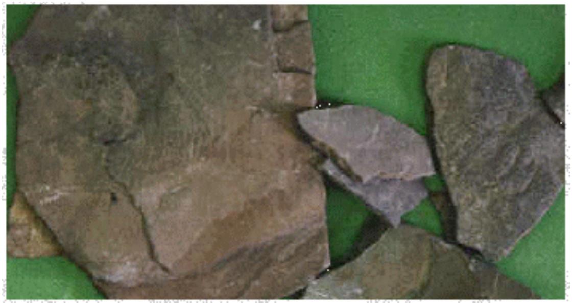 Composition: sedimentary rock. formation: a fissile form of