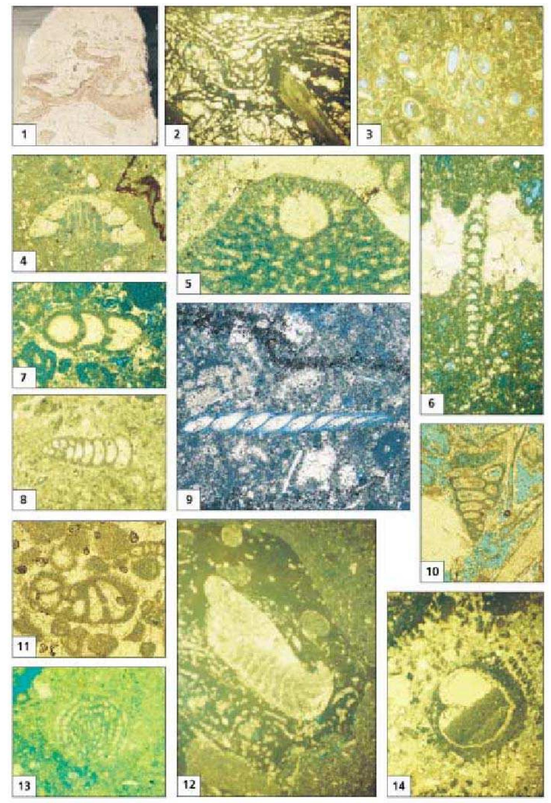 Geology of the United Arab Emirates
