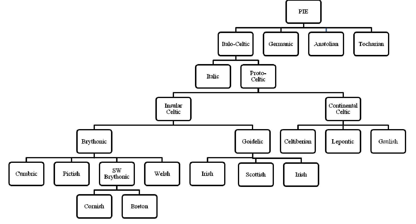 - a subset of the indo-european family tree with celtic