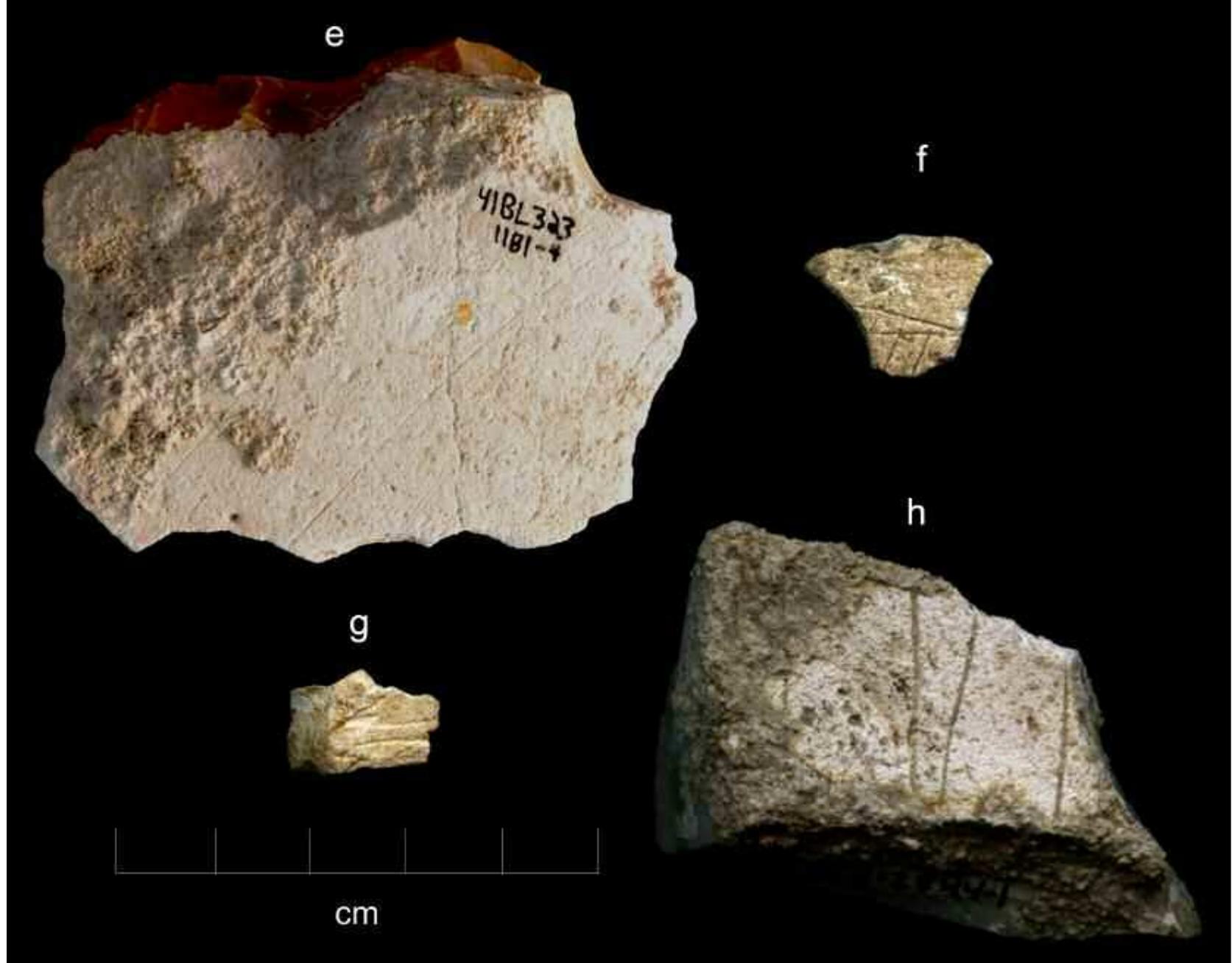 (PDF) Early Art in North America: Clovis and later Paleoindian incised ...
