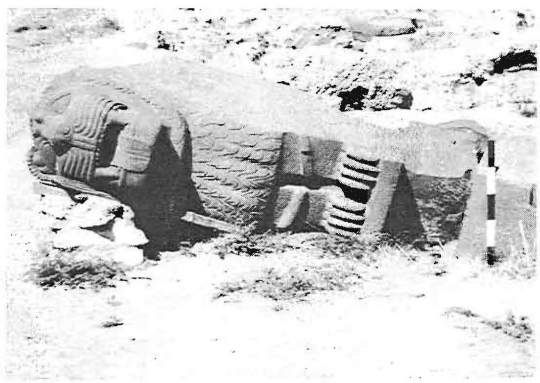 Figure 2 - from The Iron Age Settlement at 'Ain Dara, Syria