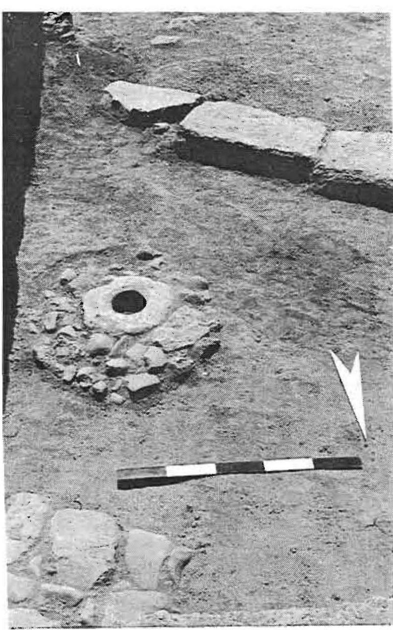Figure 61 - from The Iron Age Settlement at 'Ain Dara, Syria