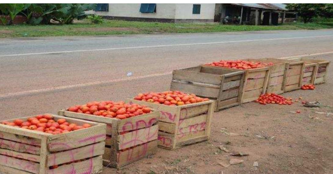 11 is an example of producers in ghana with their produce