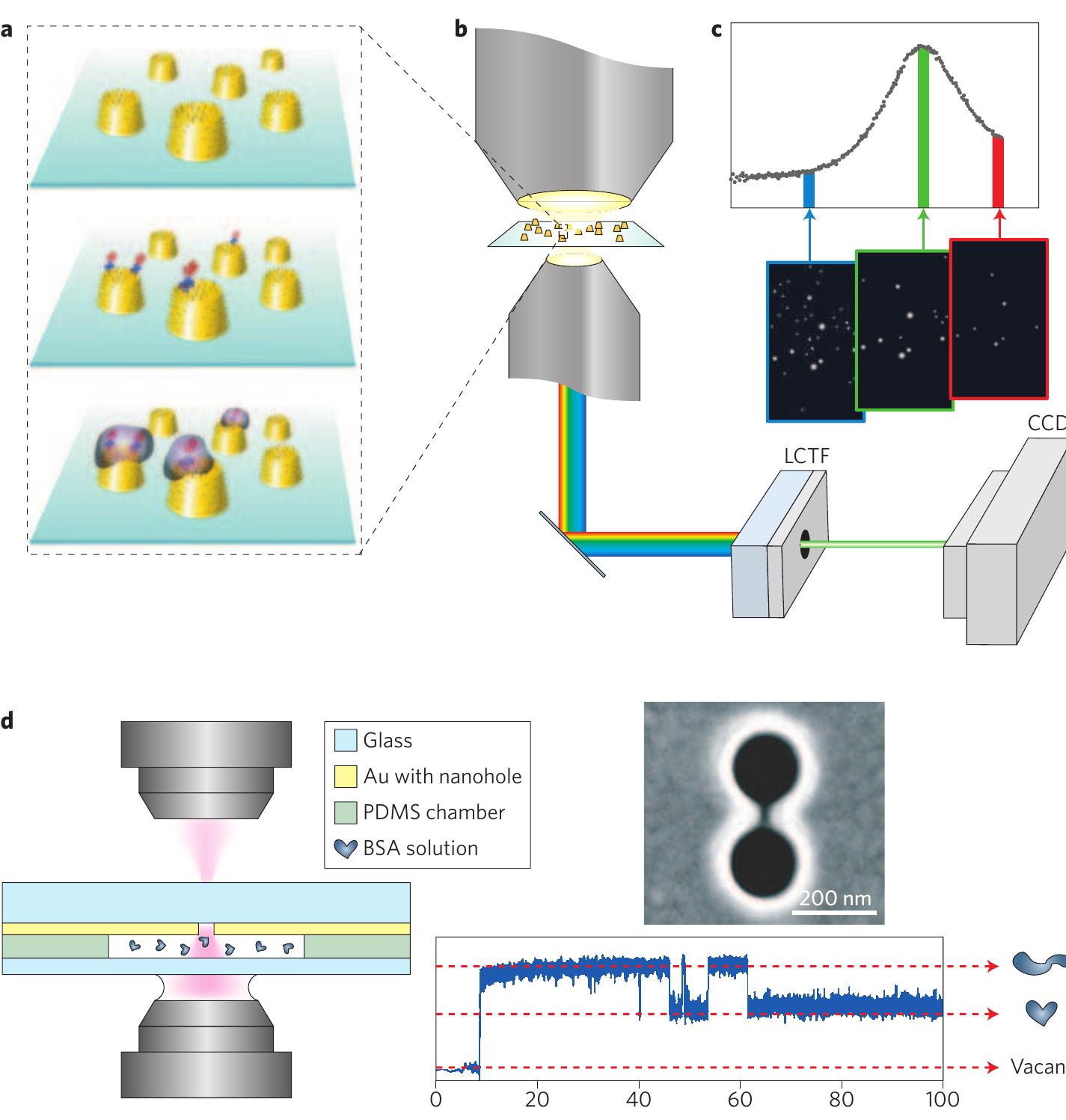 | schematic representation of two examples of plasmonic