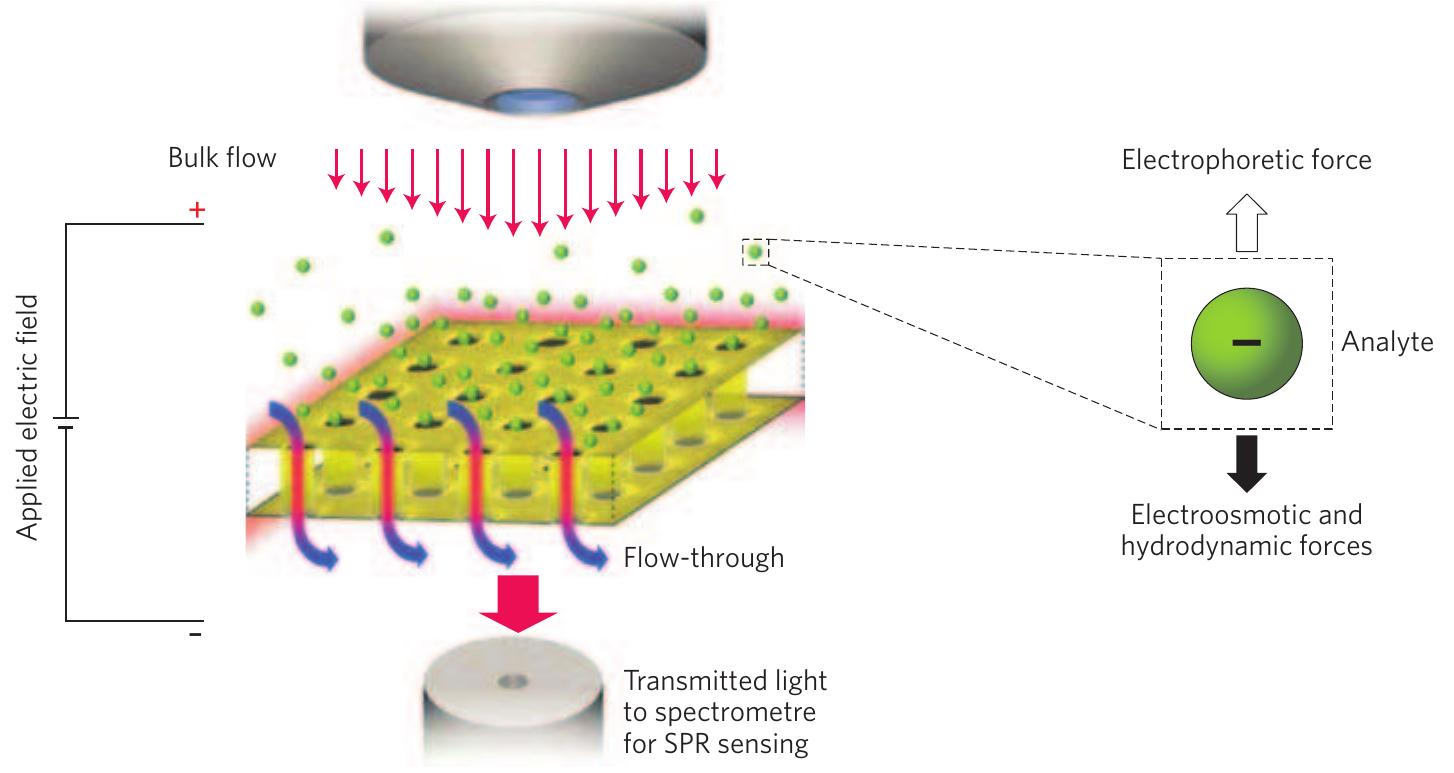 | schematic representation of a plasmonic nanohole