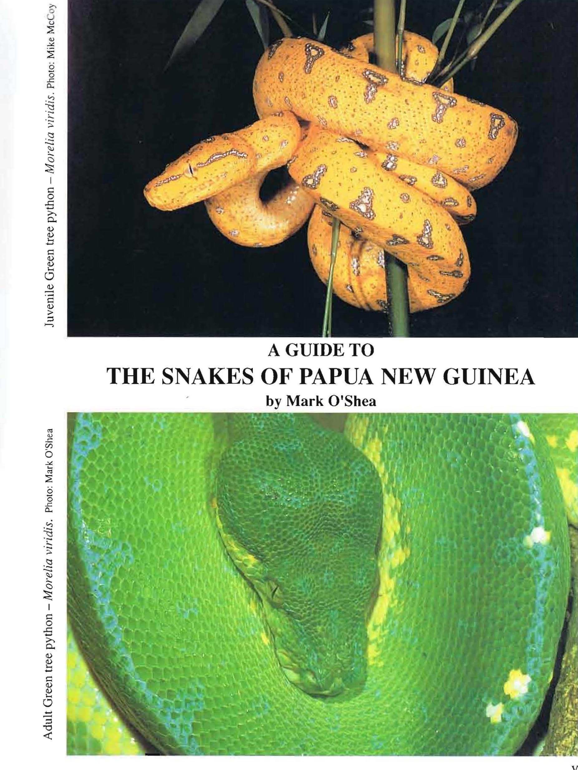 A Guide to the Snakes of Papua New Guinea