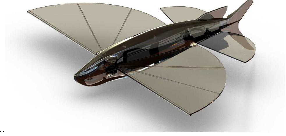 Cad model of prototype flying fish, created in solidworks.