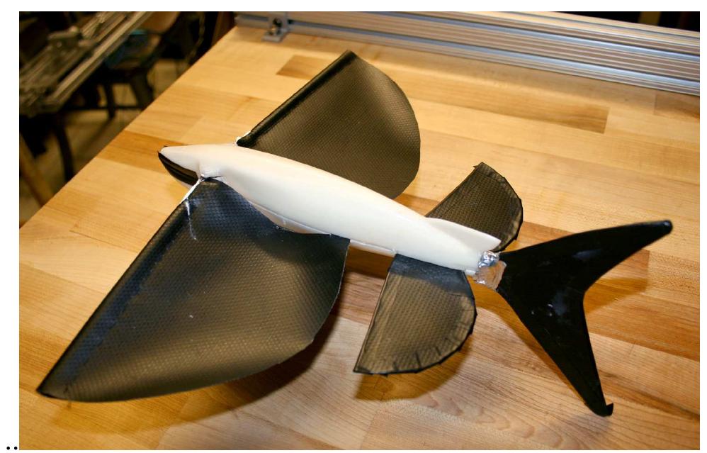 Constructed prototype of flying fish.