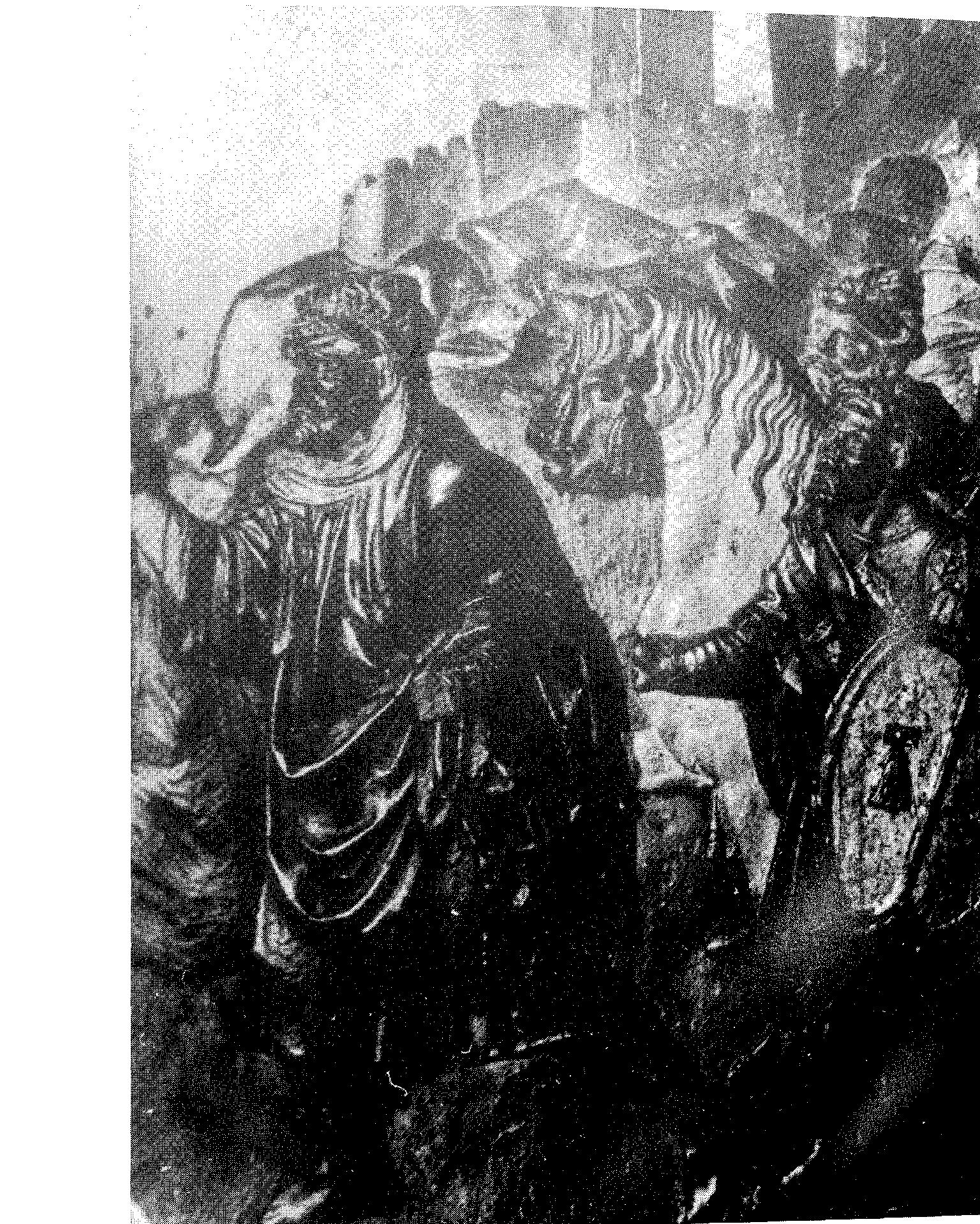 Figure 2 - from The History And the Age of The Moors in