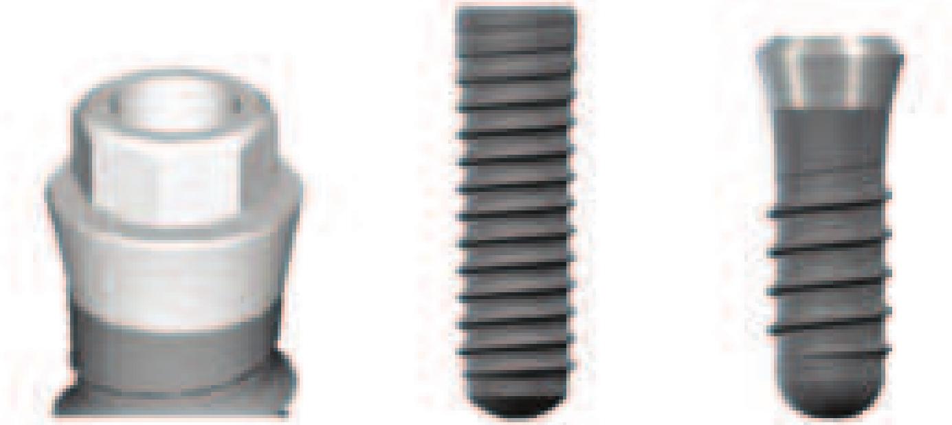 External implant connection, bone level implant (straumann),