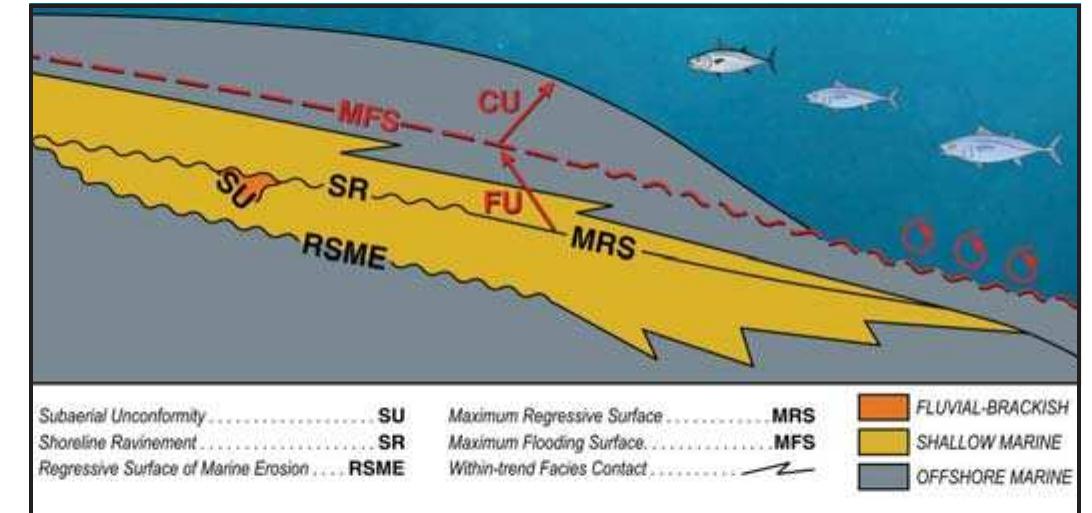 4. a schematic diagram showing the interpreted relationship