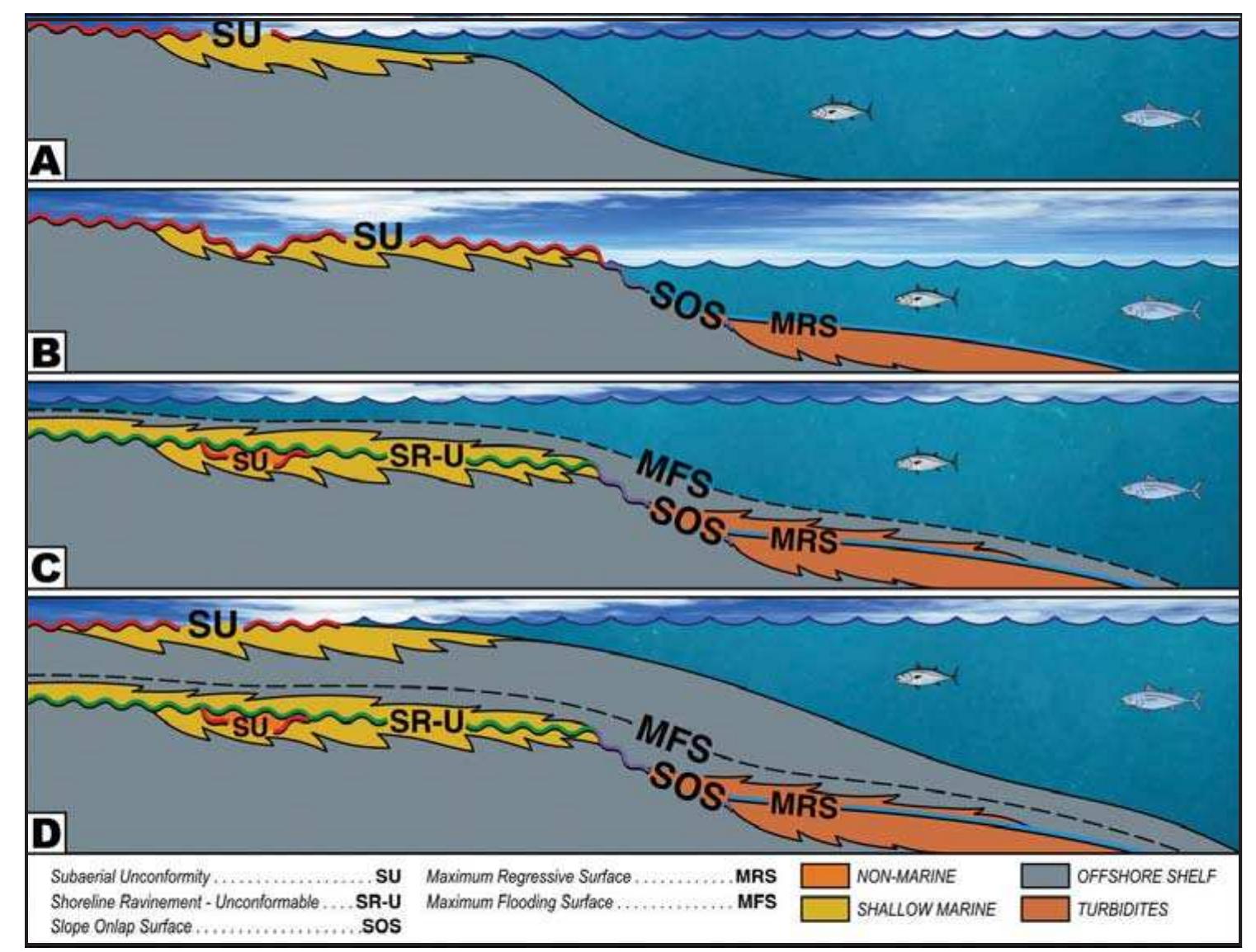 (PDF) Sequence Stratigraphy