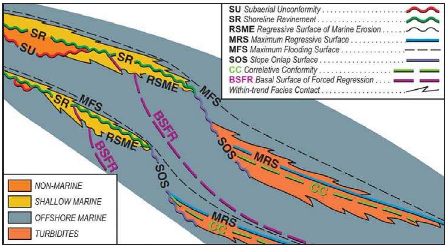 4. a schematic cross-section for a shelf / slope / basin