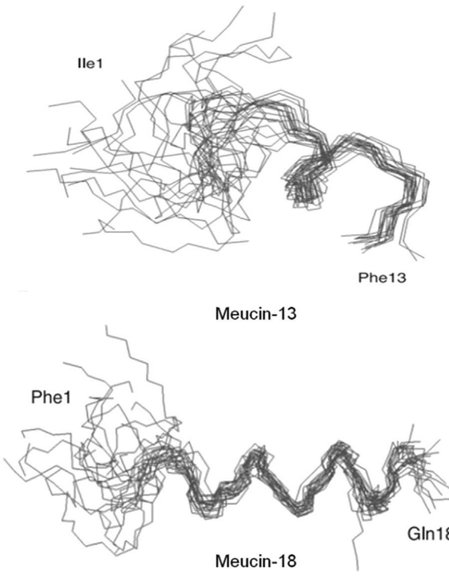 Comparison between nmr structures of meucin-13 and meucin-18