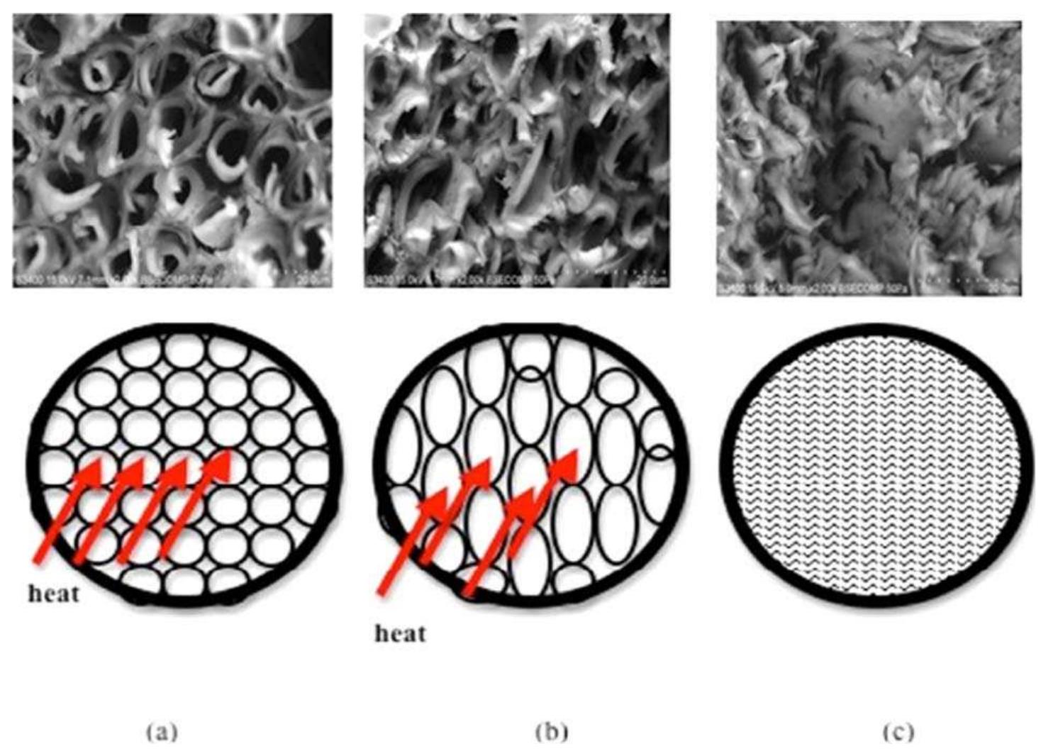 Sem of bnh lumen structures and its corresponding schematic