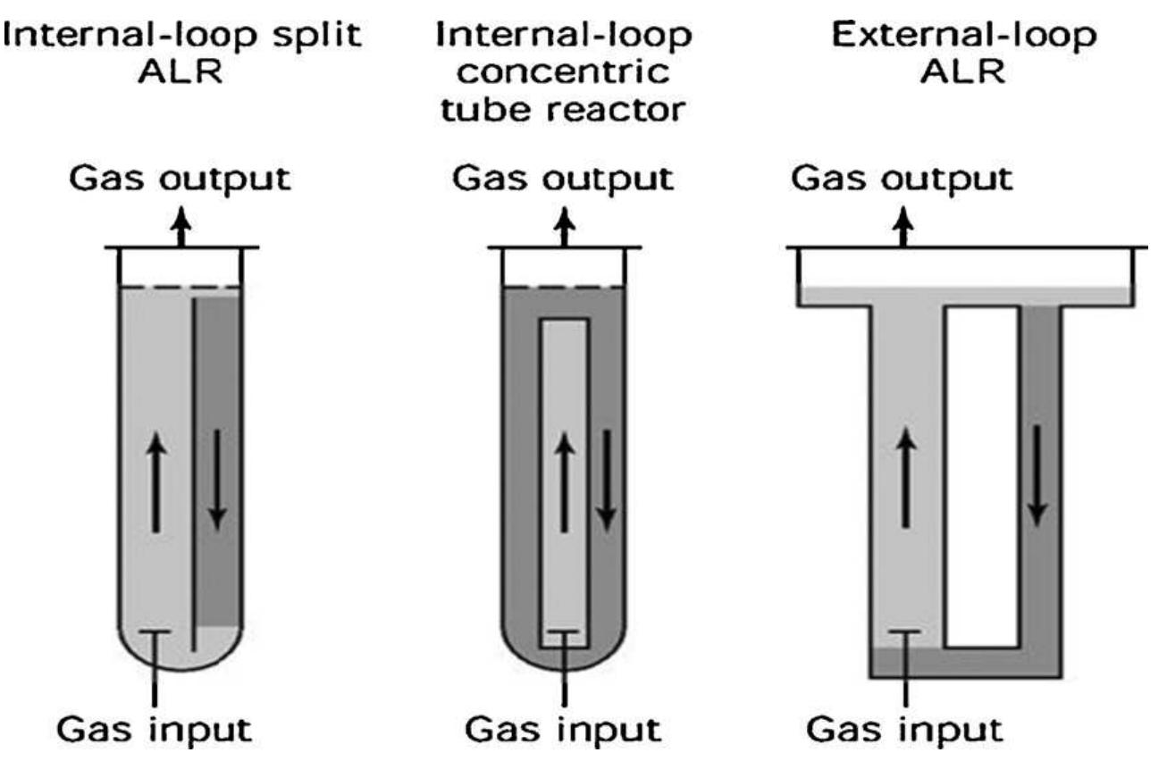 Different types of air lift bioreactors. bubble column