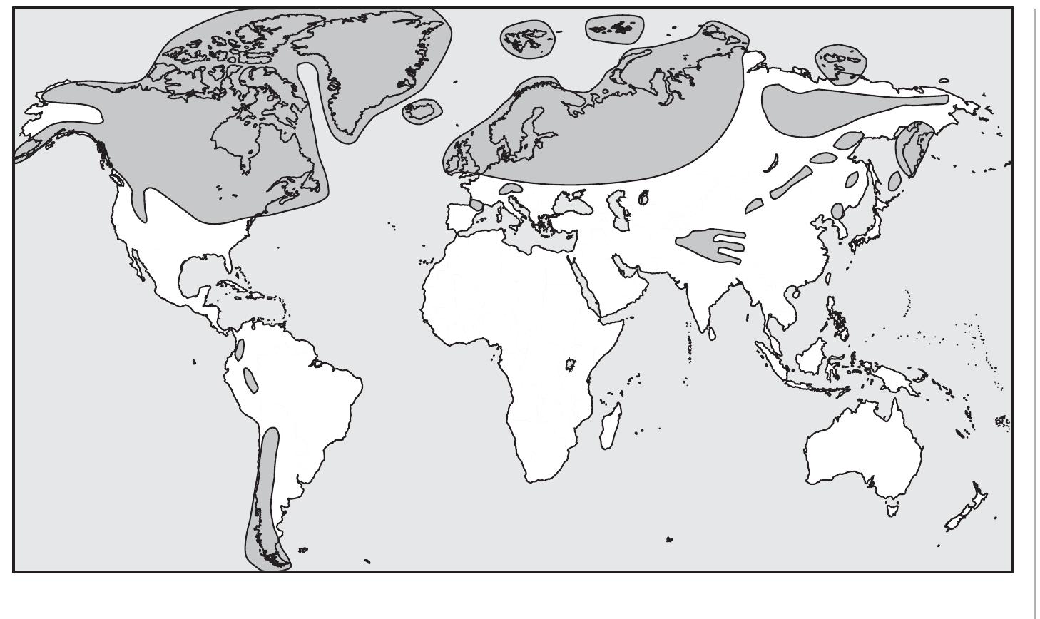 The pleistocene ice age