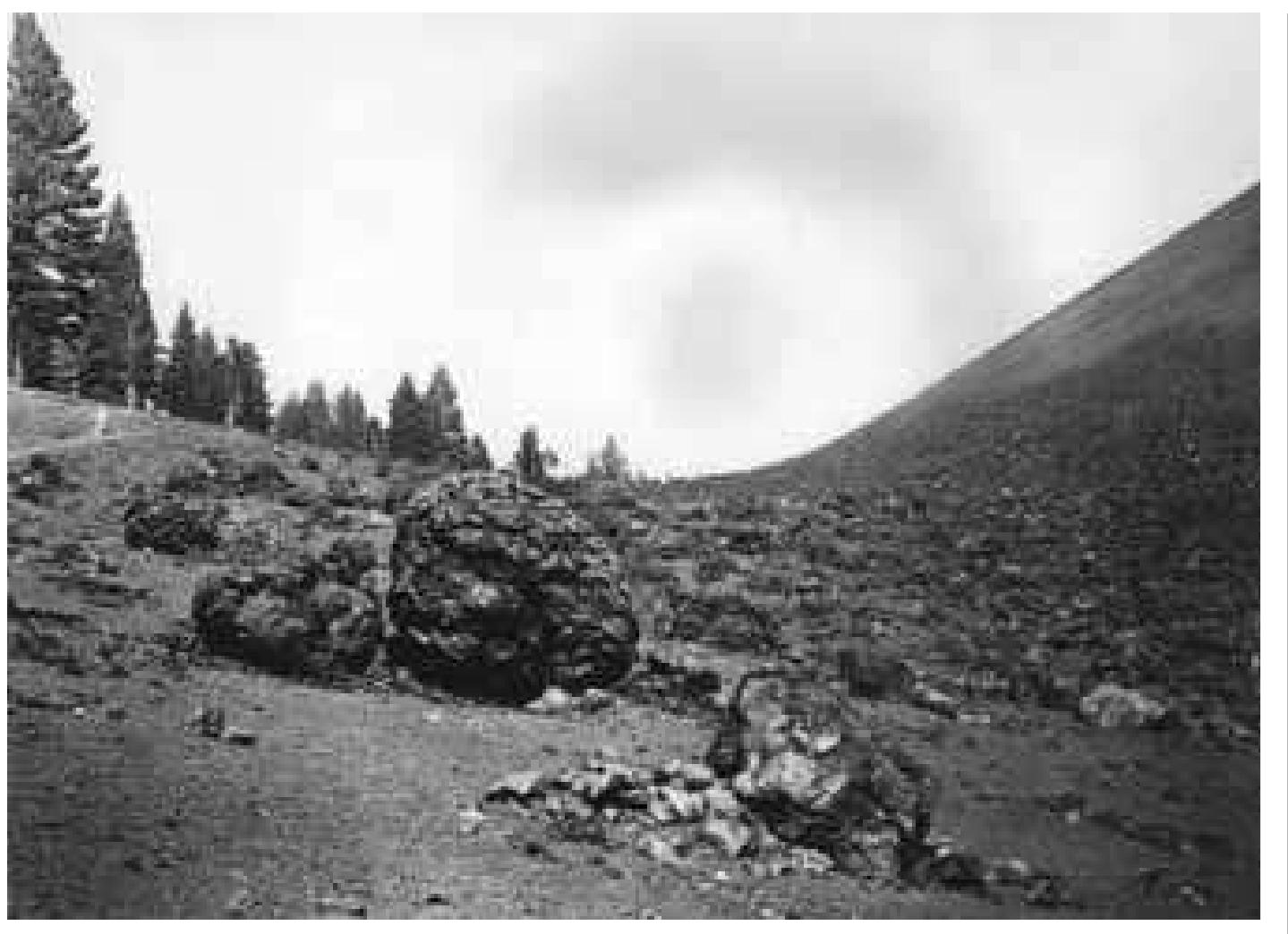 Their crusty appearance, which is caused by gases escaping