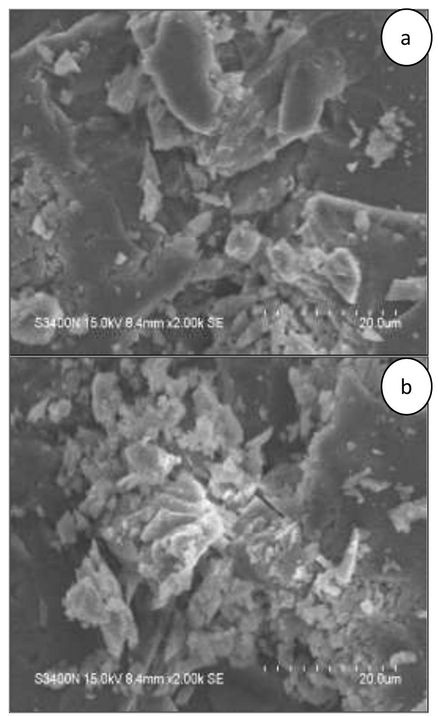 Figure 2 - MIXED MATRIX BLEND MEMBRANES OF SODIUM ALGINATE