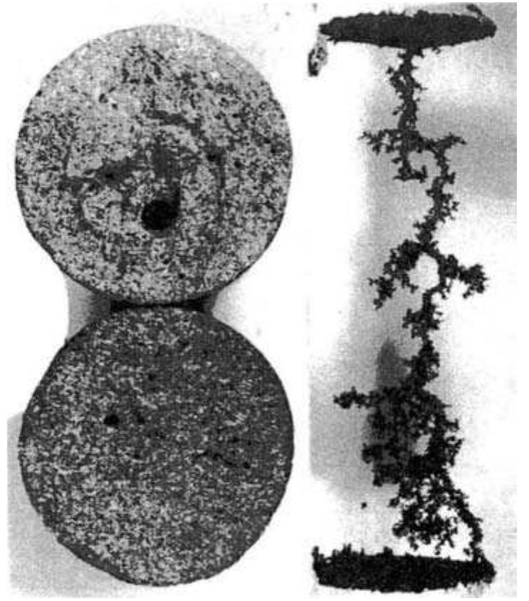 2 wormholes created by acid dissolution of limestone