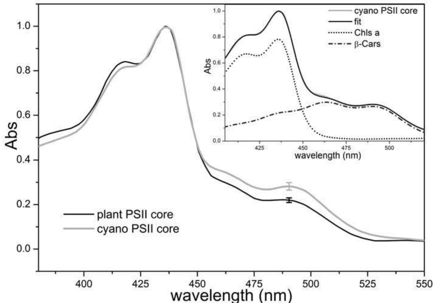 (4). comparison of spectra of psii cores from plants and