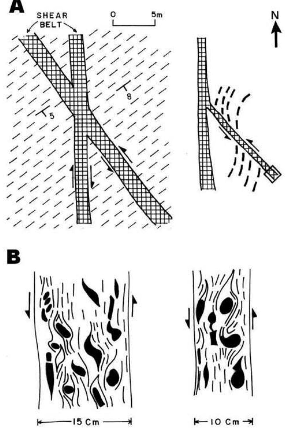 Field sketches showing (a) mesoscopic shear zones and (b)