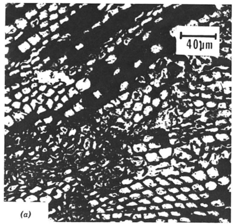 (PDF) Ore microscopy by Craig and Vaughan