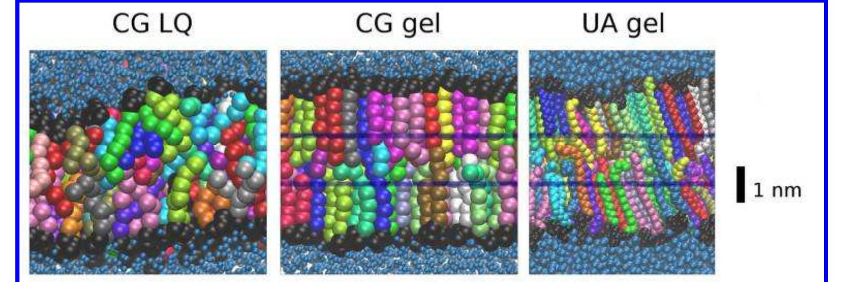 Figure 18 - Coarse-Grain Simulations of Skin Ceramide NS