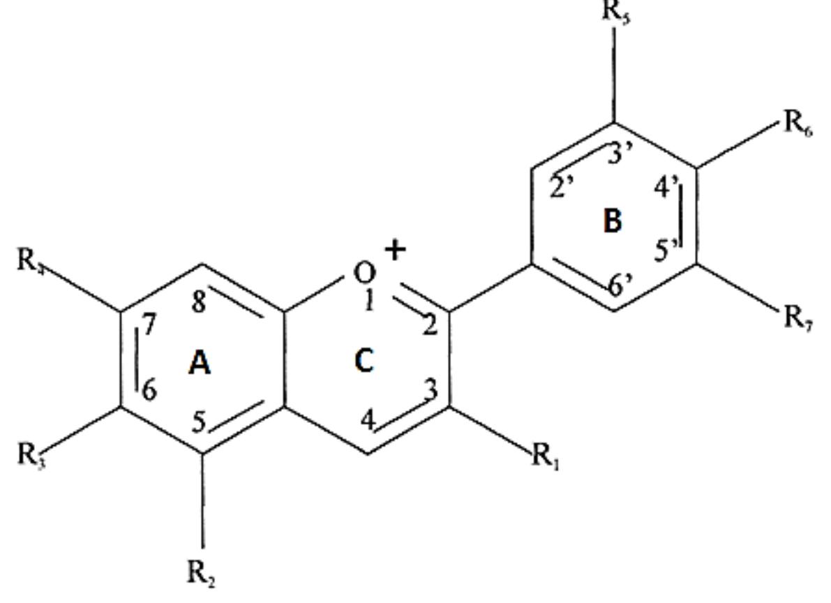 (2) basic structure of anthocyanidin pigments in which r,