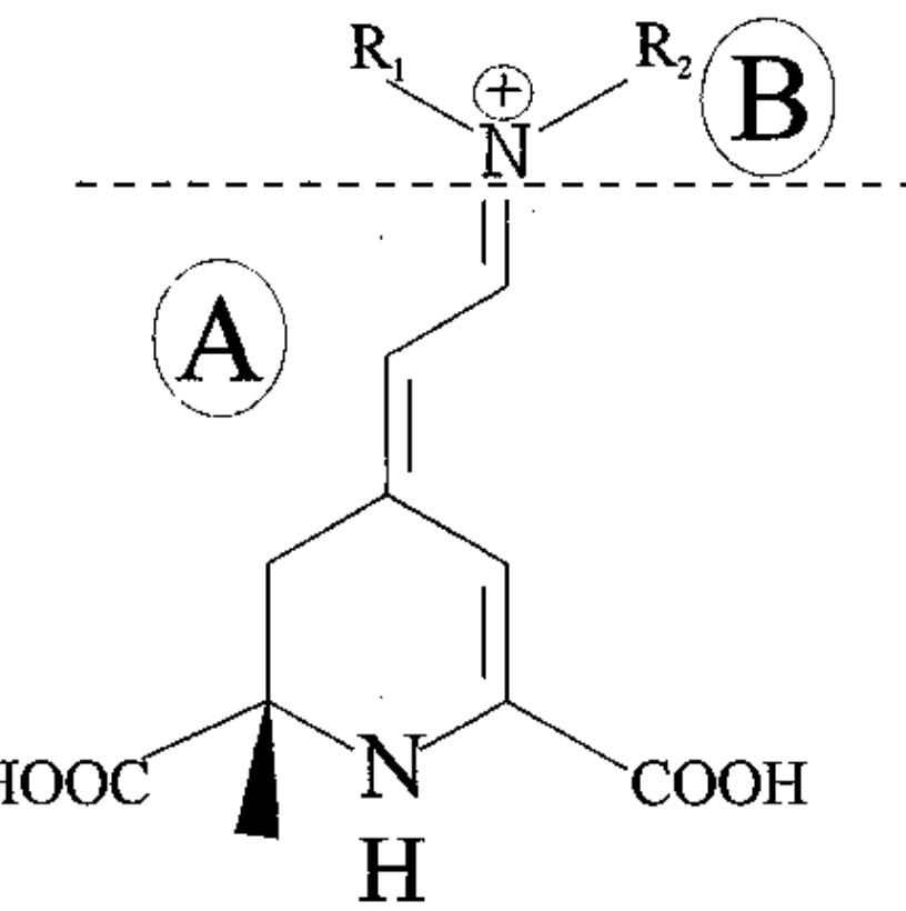 (5) betalain general formula. (a) betalamic acid moiety is