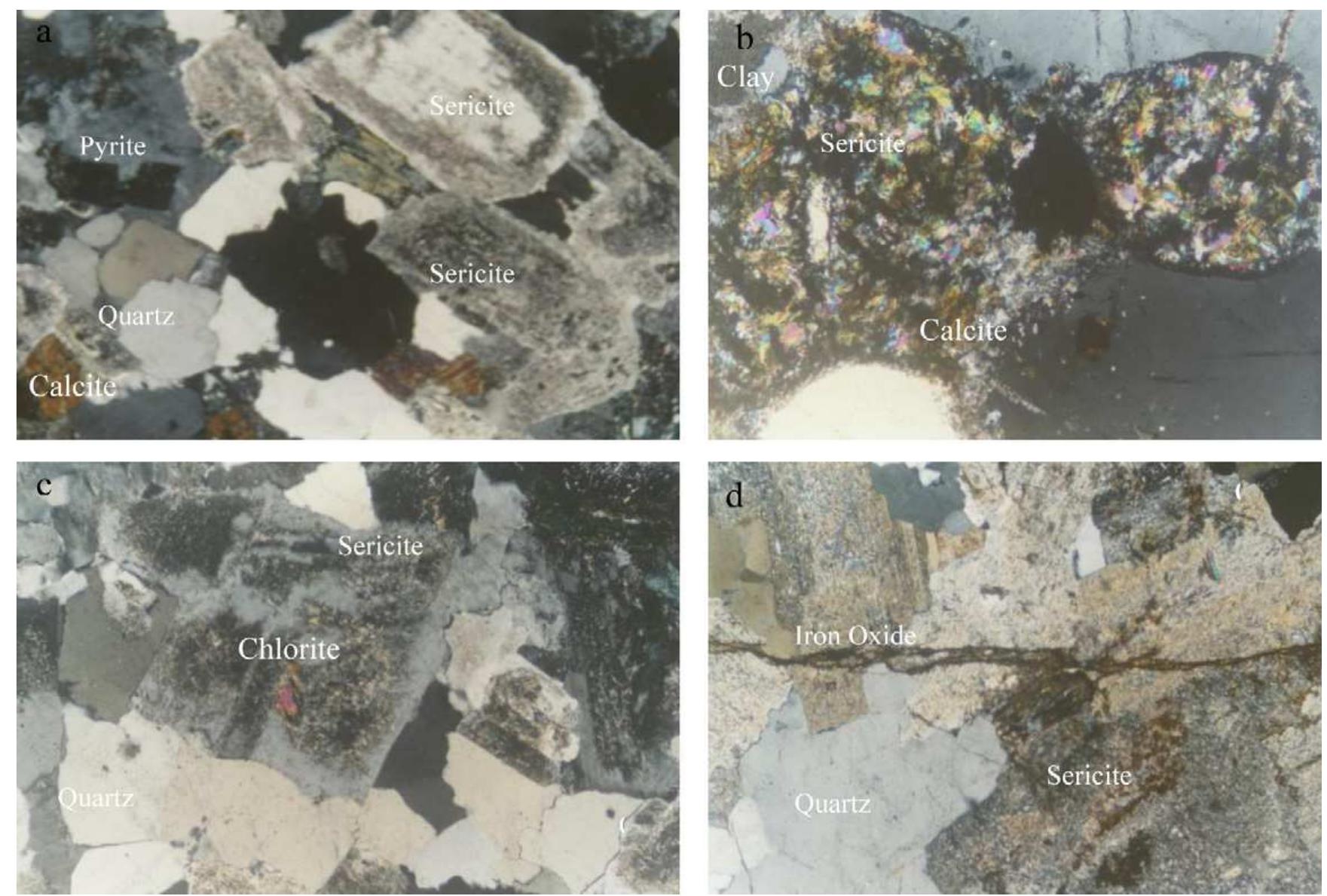 Photomicrographs (c.n. x 40): (a) plagioclase crystals