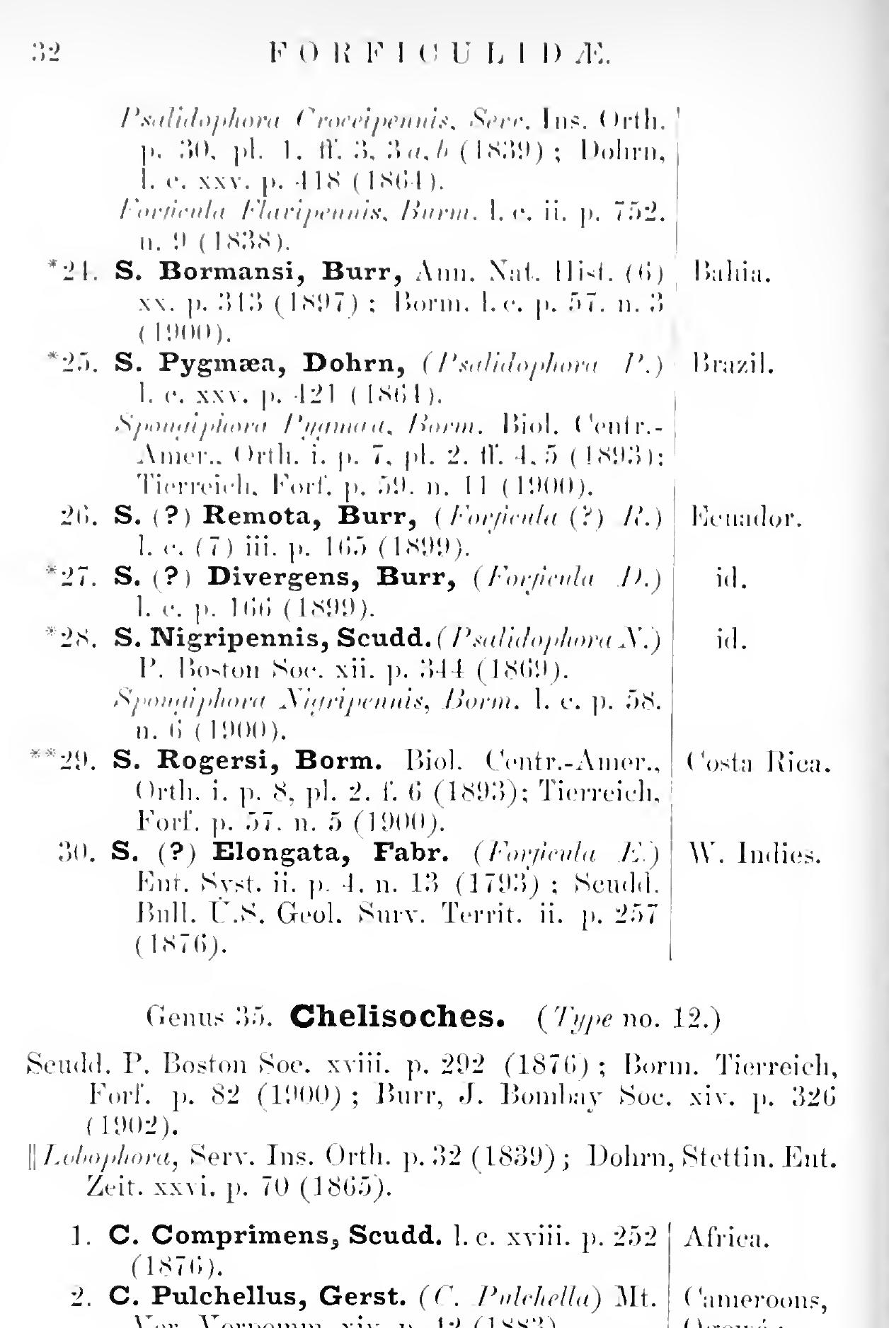 Figure 27 - A SYNONYMIC CATALOGUE ON ORTHOPTERA. VOL. I.