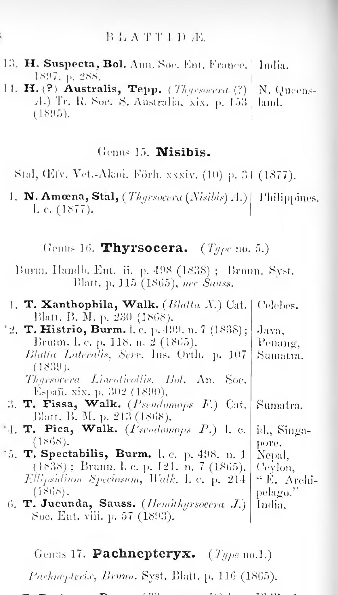 Figure 55 - A SYNONYMIC CATALOGUE ON ORTHOPTERA. VOL. I.