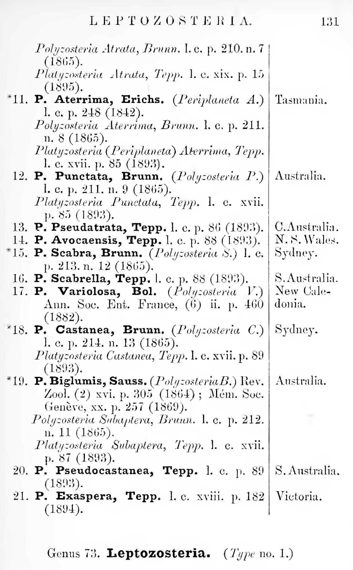 Figure 88 - A SYNONYMIC CATALOGUE ON ORTHOPTERA. VOL. I.