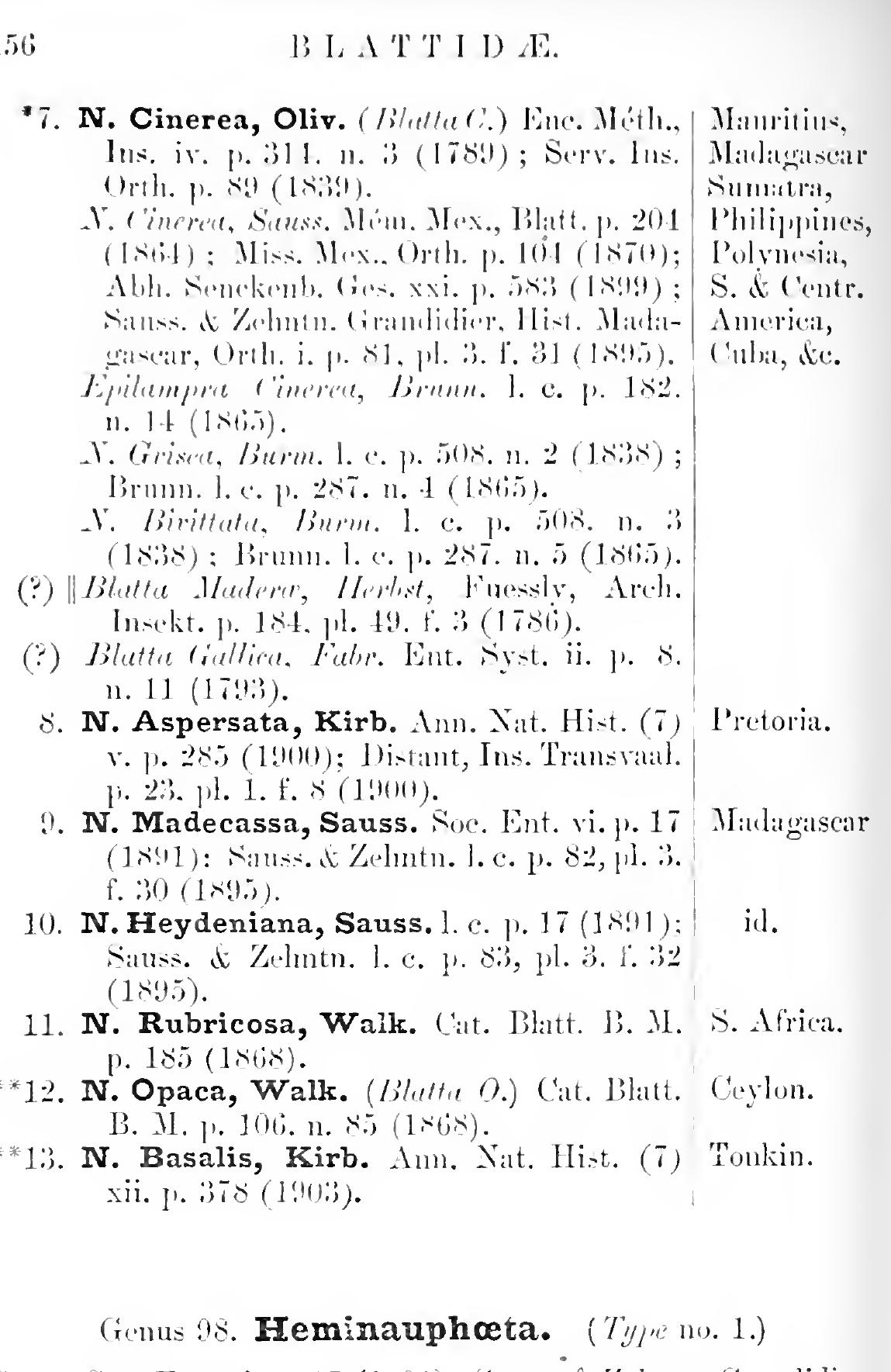 Figure 105 - A SYNONYMIC CATALOGUE ON ORTHOPTERA. VOL. I.