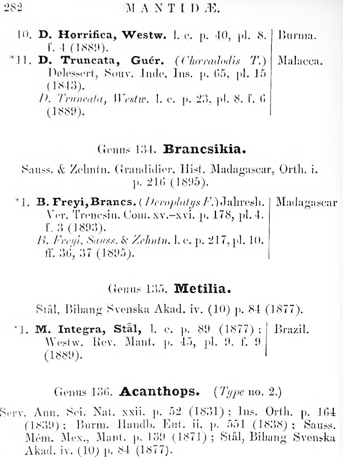 Figure 197 - A SYNONYMIC CATALOGUE ON ORTHOPTERA. VOL. I.